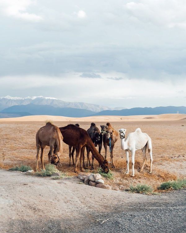 Artist Interview: Carley Rudd